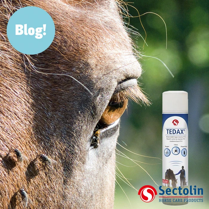 Gastblog Sectolin: Tedax® het afweermiddel tegen insecten! - HorseFitShop